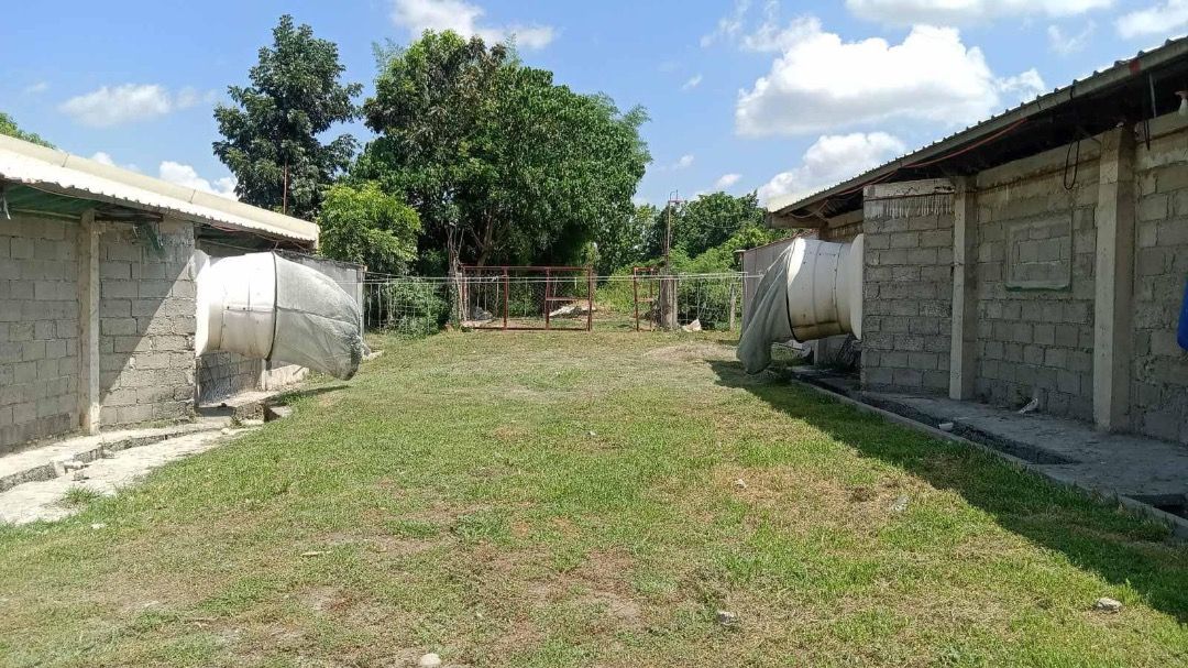 Income Generating Contract Growing Poultry Farm For Sale, Property, For ...