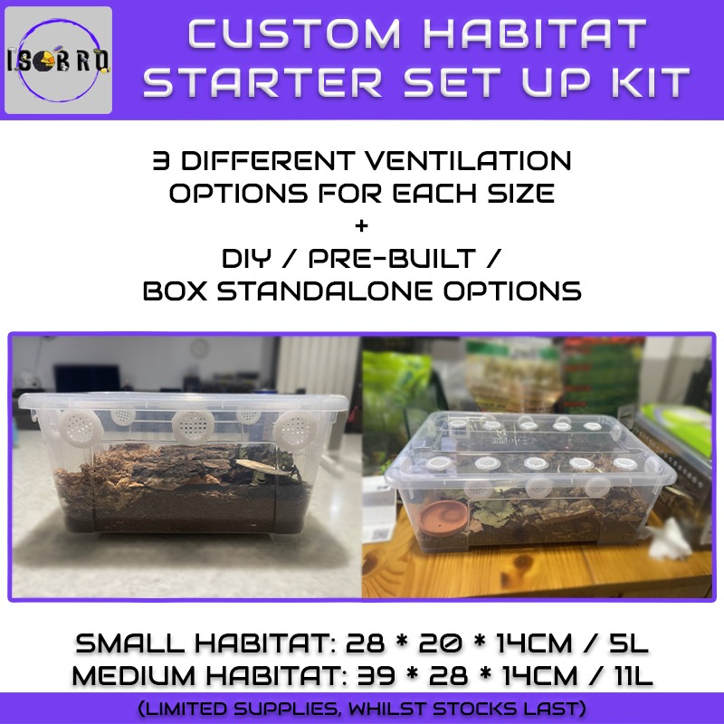 Custom Made Habitat Tank Setup Starter Kit with Vents — (For Isopod ...