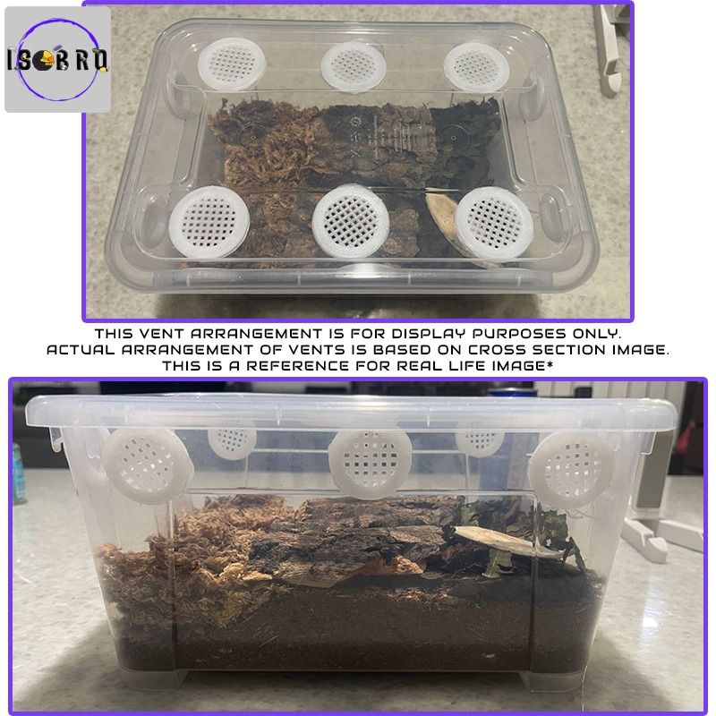 Custom Made Habitat Tank Setup Starter Kit with Vents — (For Isopod ...
