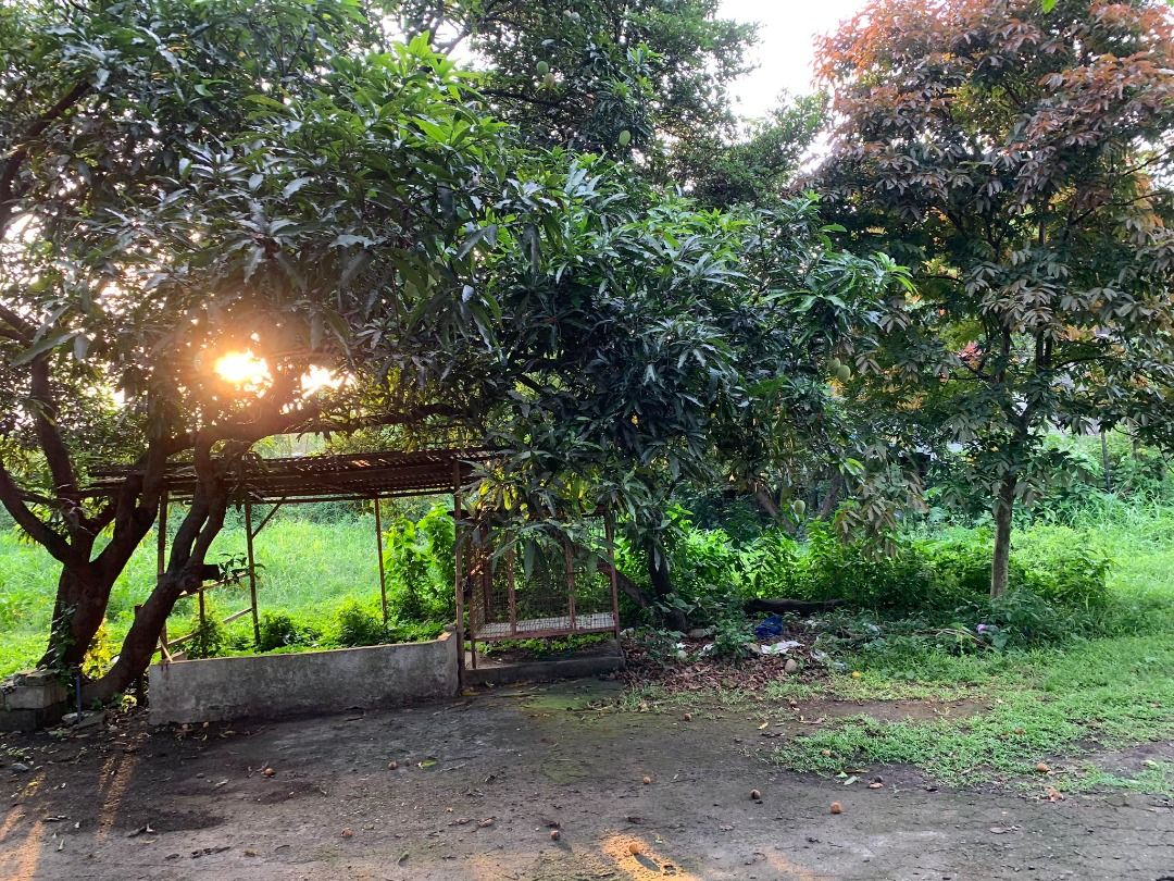 FOR SALE CANUMAY WEST,VALENZUELA PROPERTY, Property, For Sale, Lot on ...