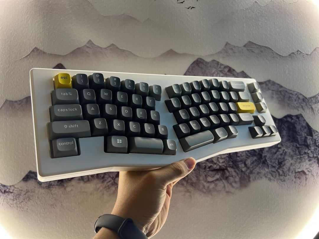 Fully Built Customised Akko ACR Pro Alice Plus Ergonomic Mechanical ...