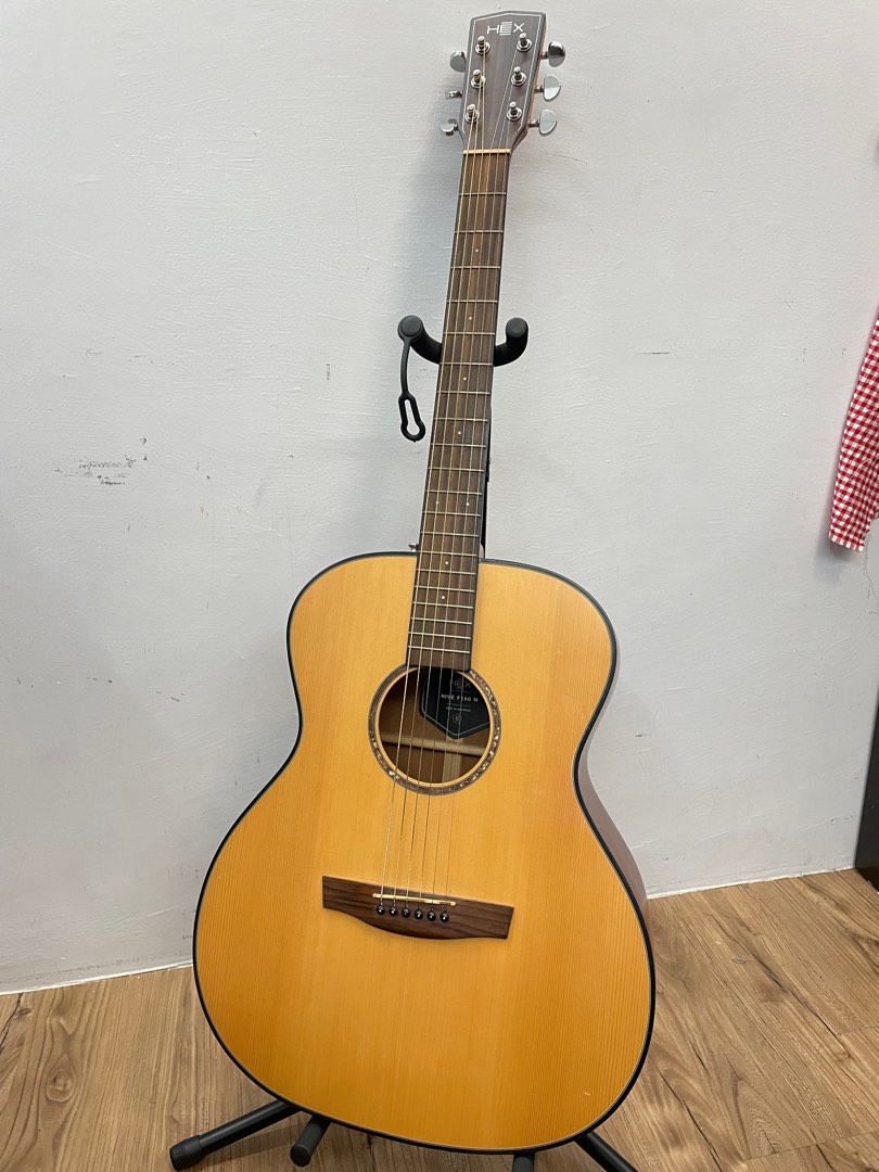 HEX Acoustic Guitar (Hive F100 M) with Stand, Hobbies & Toys, Music ...