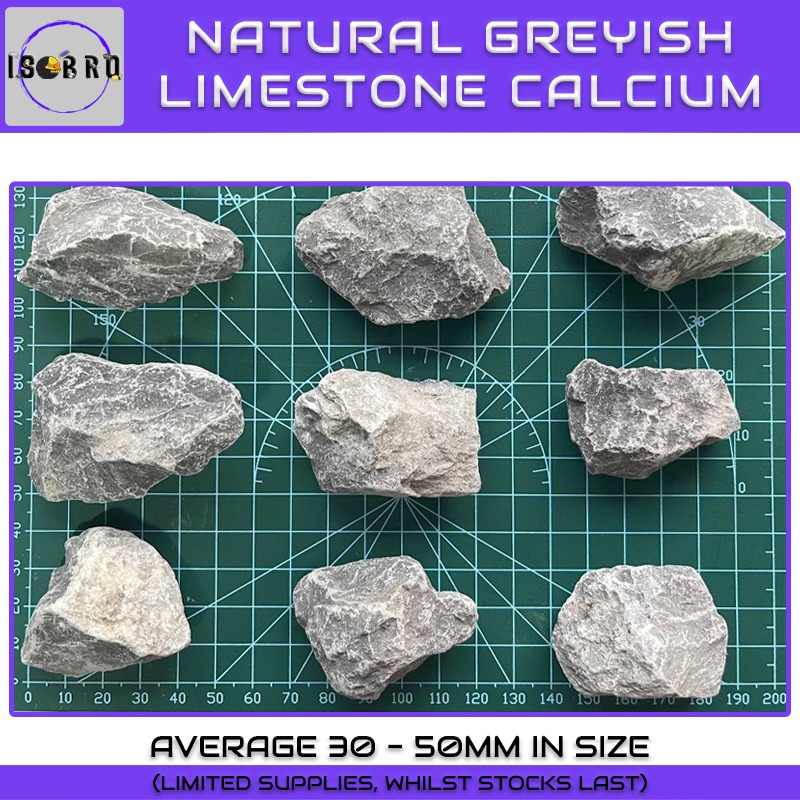 Natural Greyish Limestone Calcium — (For Isopod / Reptiles / Amphibians ...