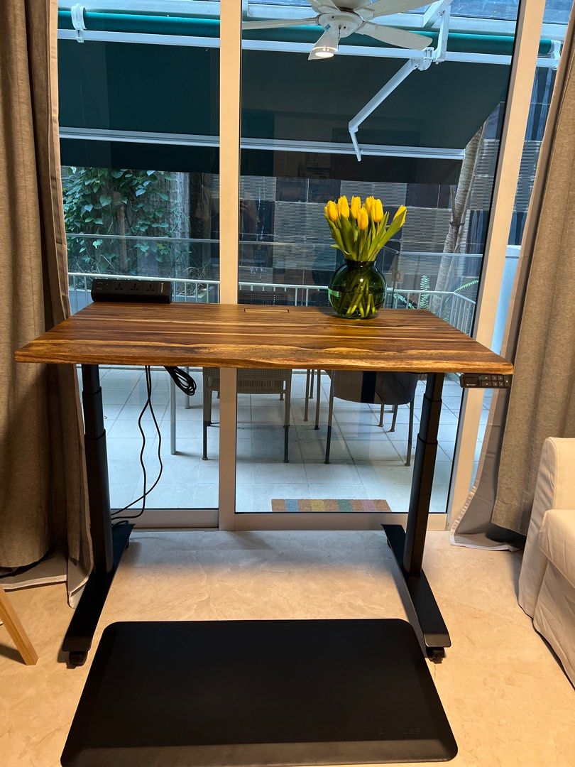 Omnidesk Ascent Wildwood+ (including all extra accessories) , Furniture ...