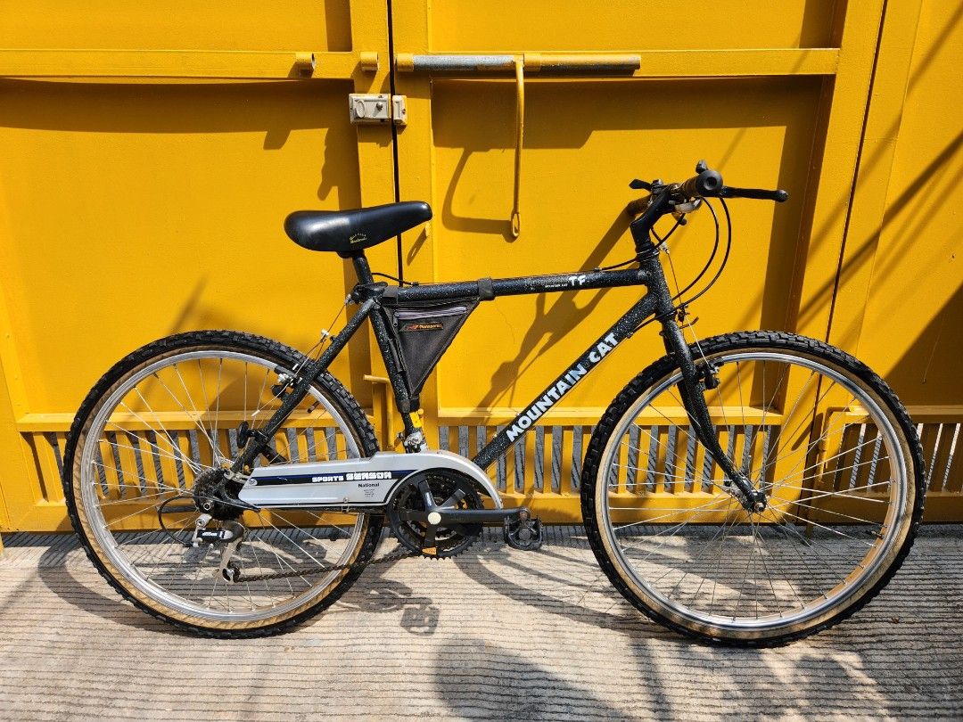 Panasonic Mountain Cat, Sports Equipment, Bicycles & Parts, Bicycles on Carousell