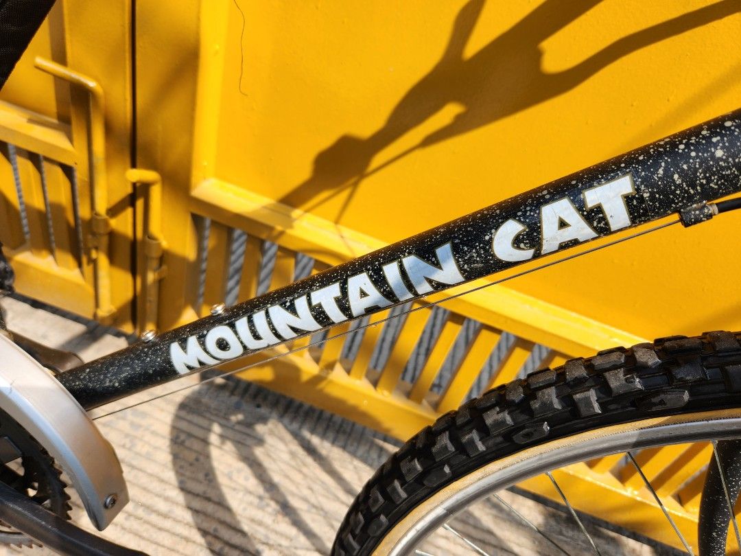 Panasonic Mountain Cat, Sports Equipment, Bicycles & Parts, Bicycles on ...