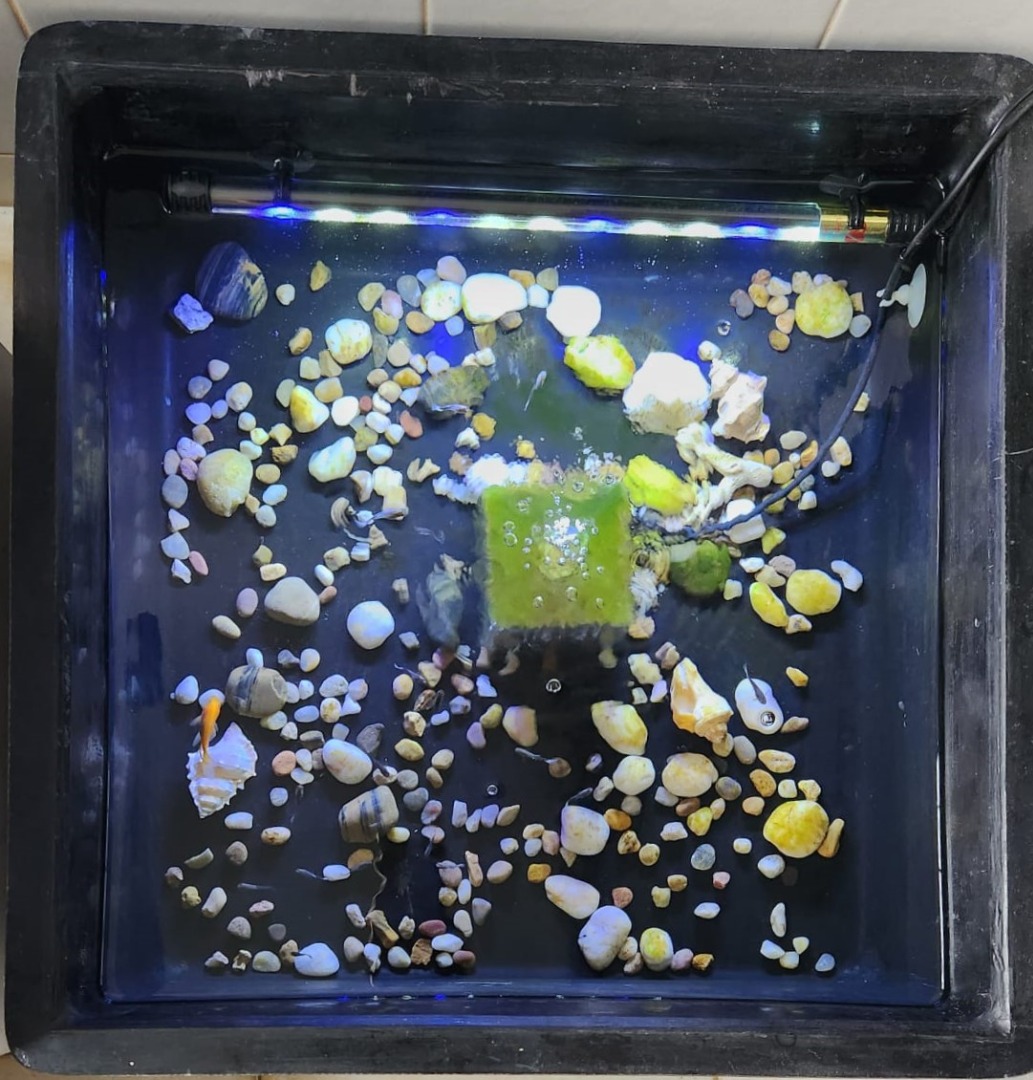 [PLUG & PLAY] Fiber Glass Patio Pond + Triple Filtration Bubbling ...