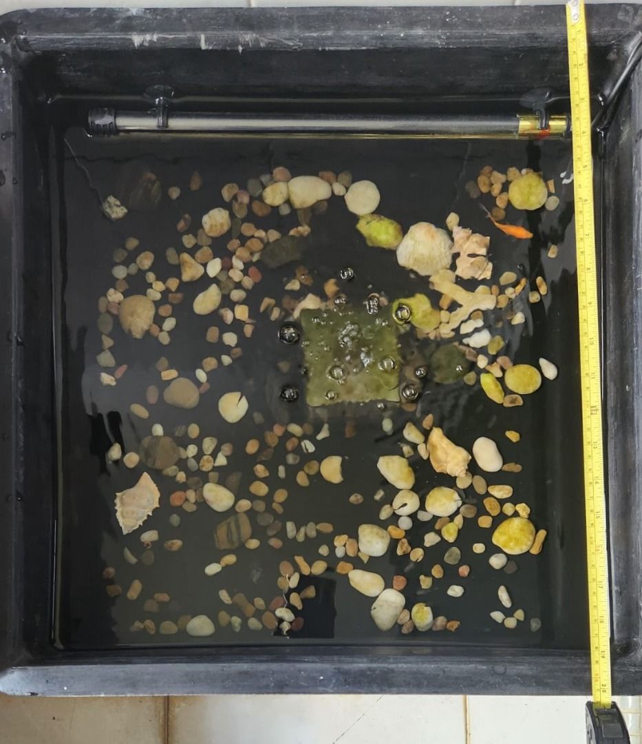 [PLUG & PLAY] Fiber Glass Patio Pond + Triple Filtration Bubbling ...