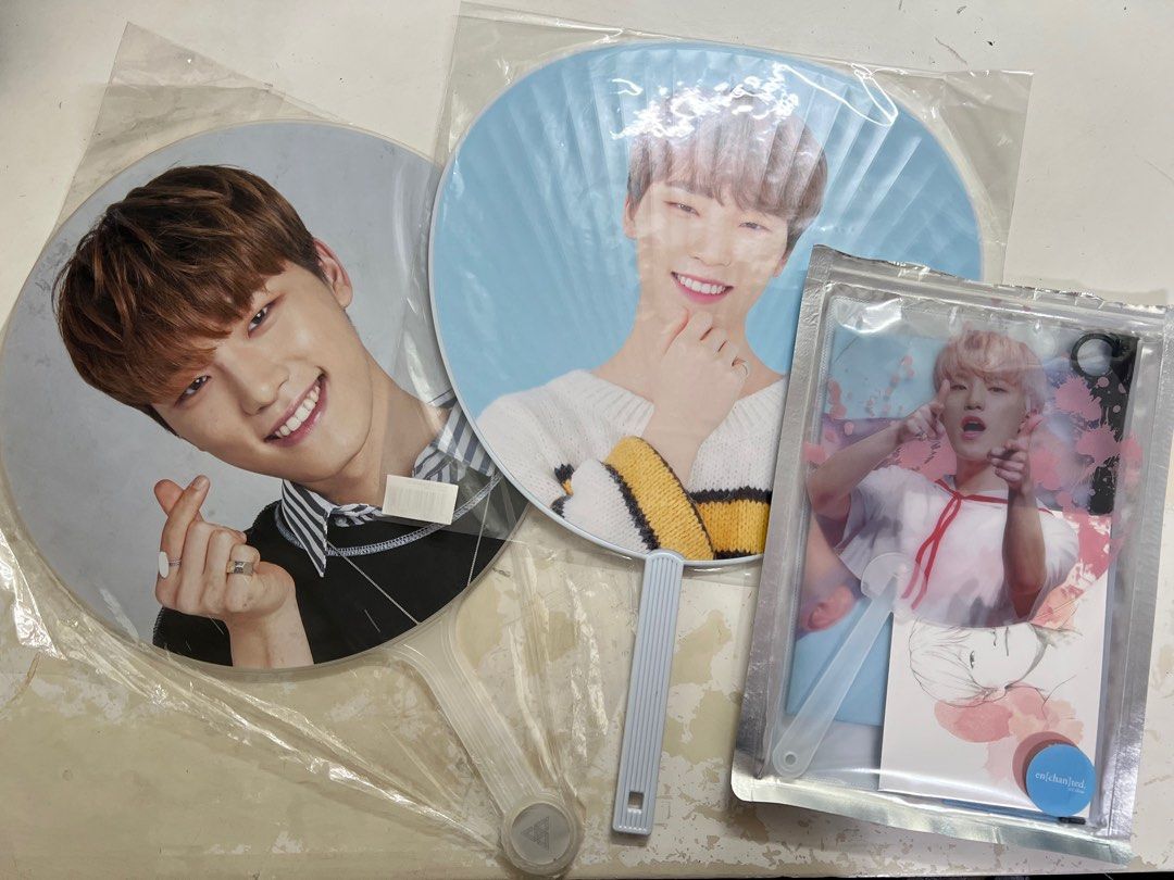 Seventeen Dino/Chan Merch Bundle, Hobbies & Toys, Memorabilia ...
