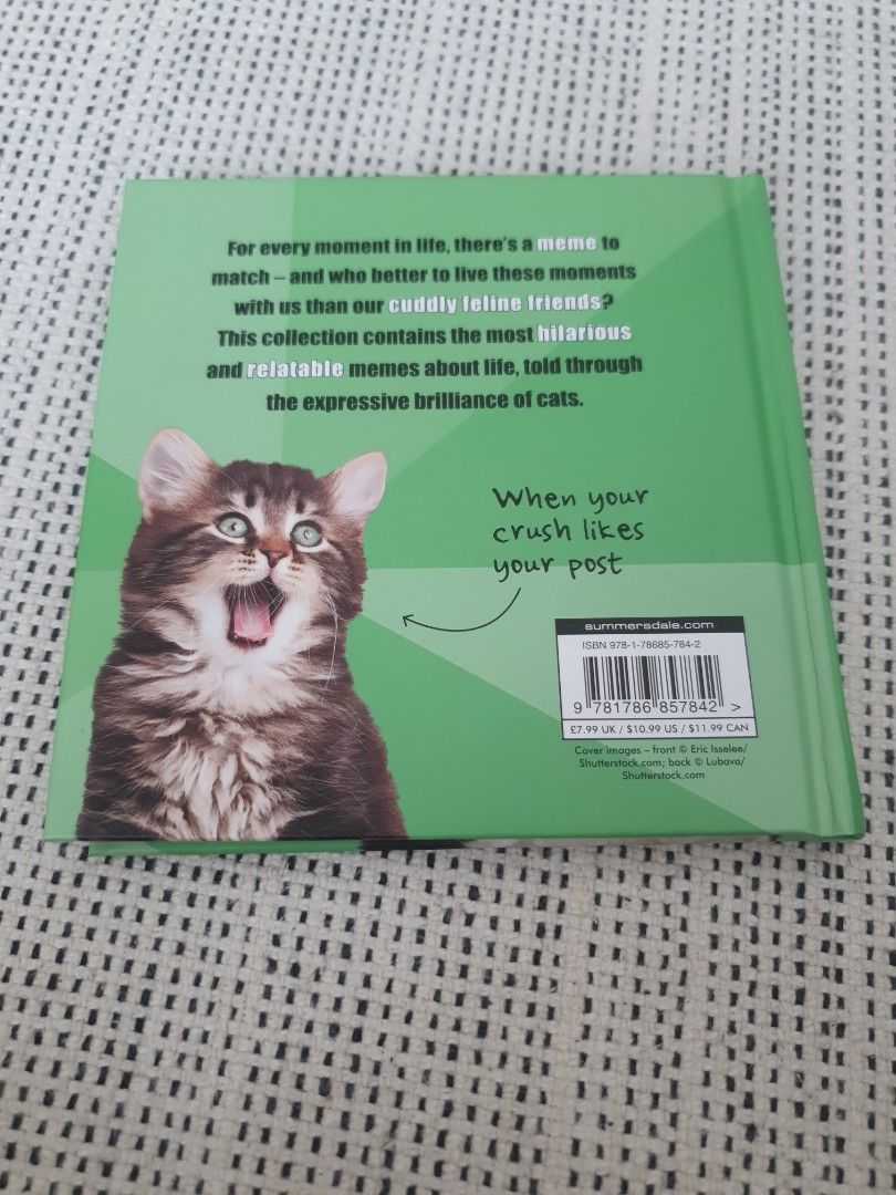 The best cat memes ever, Hobbies & Toys, Books & Magazines, Fiction ...