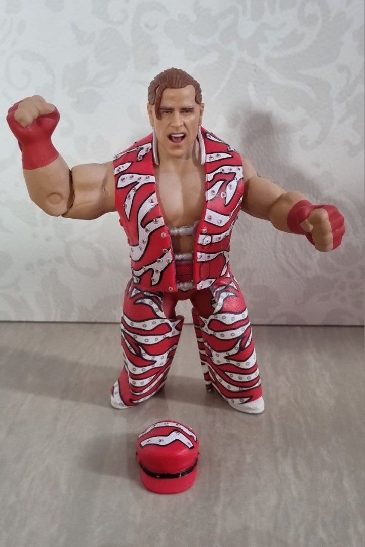 WWE Customs Shawn Michaels HBK WWF Wrestling WCW, Hobbies & Toys, Toys ...