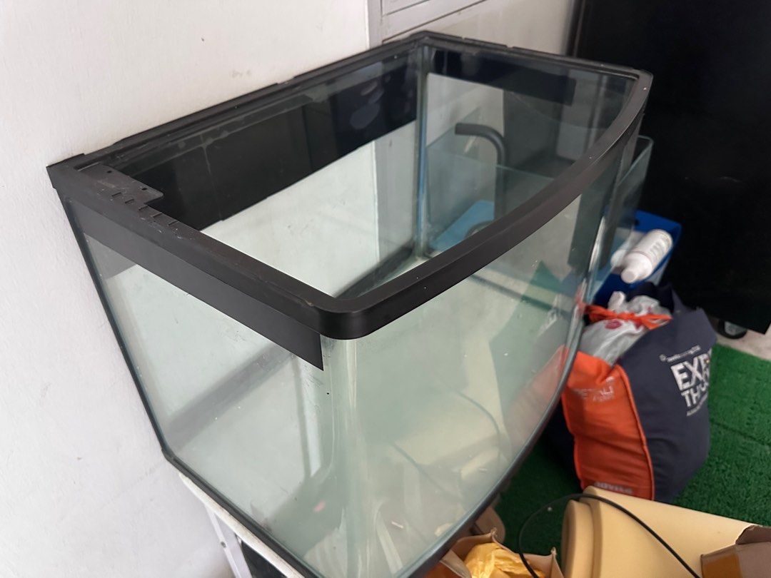 2 ft curved acrylic tank, Pet Supplies, Homes & Other Pet Accessories ...