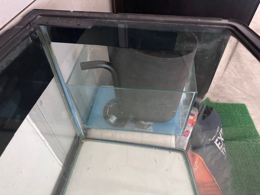 2 ft curved acrylic tank, Pet Supplies, Homes & Other Pet Accessories ...