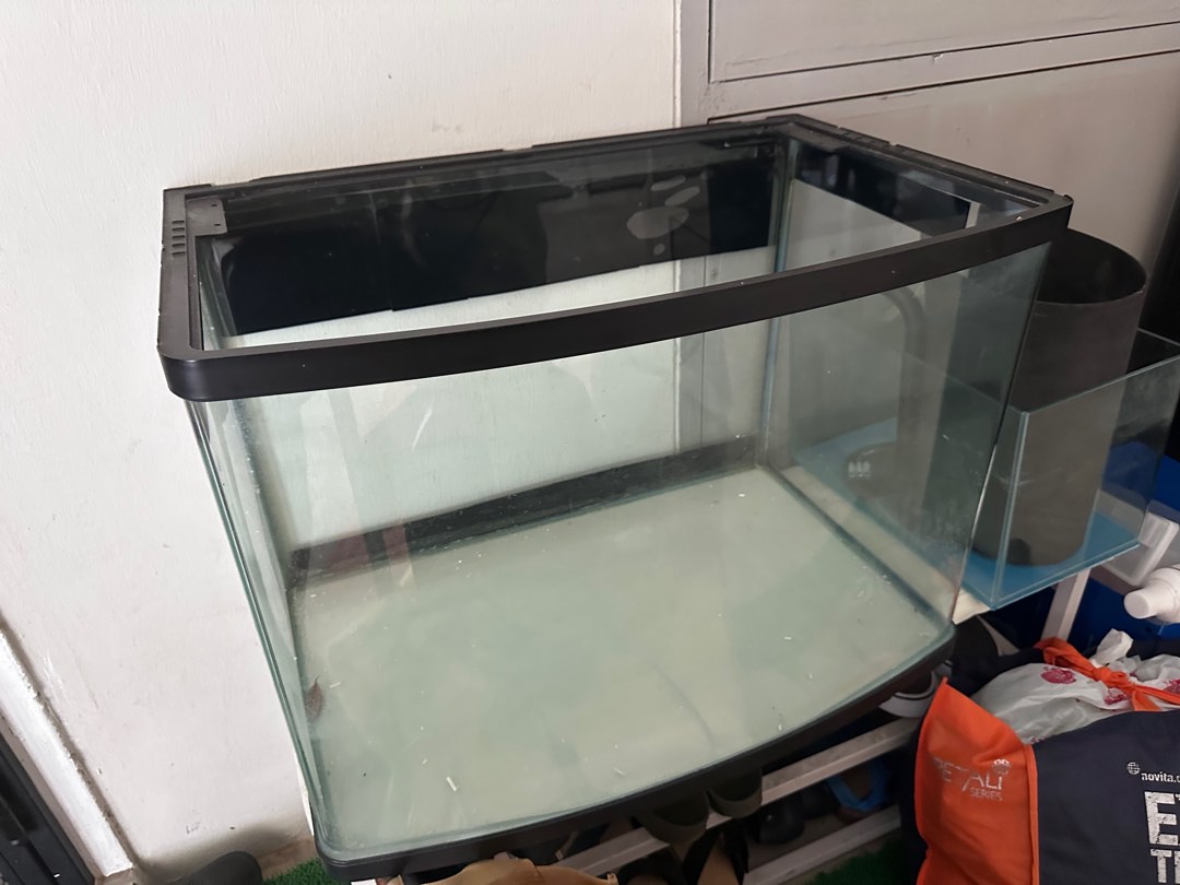 2 ft curved acrylic tank, Pet Supplies, Homes & Other Pet Accessories ...
