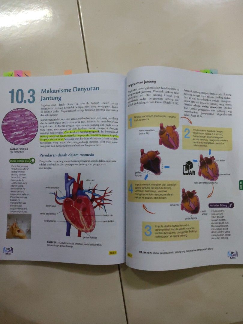 Biologi Tingkatan 4 Hobbies Toys Books Magazines Textbooks On