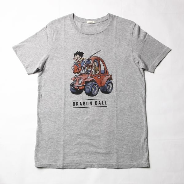 Dragon Ball Z kid Goku and master Roshi by a Japanese Brand GU, Hobbies ...