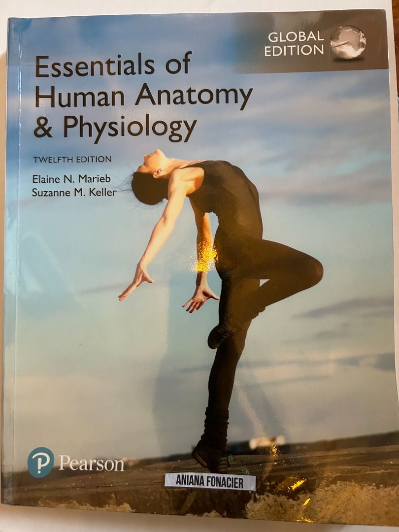Essentials of Human Anatomy & Physiology Twelfth Edition, Hobbies ...