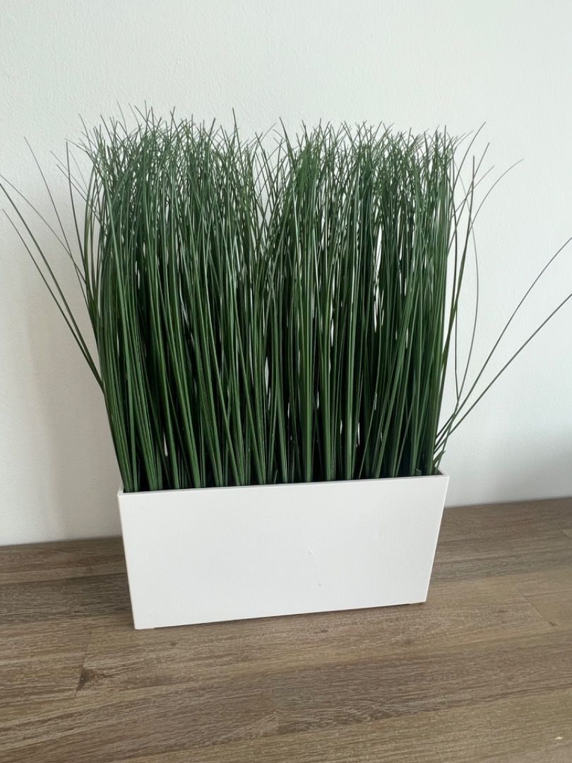 Fake planter, Furniture & Home Living, Home Decor, Artificial Plants ...