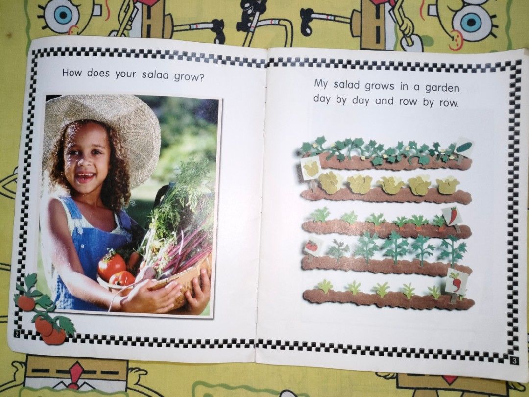 For Sale How Does Your Salad Grow? Book for Kids on Carousell