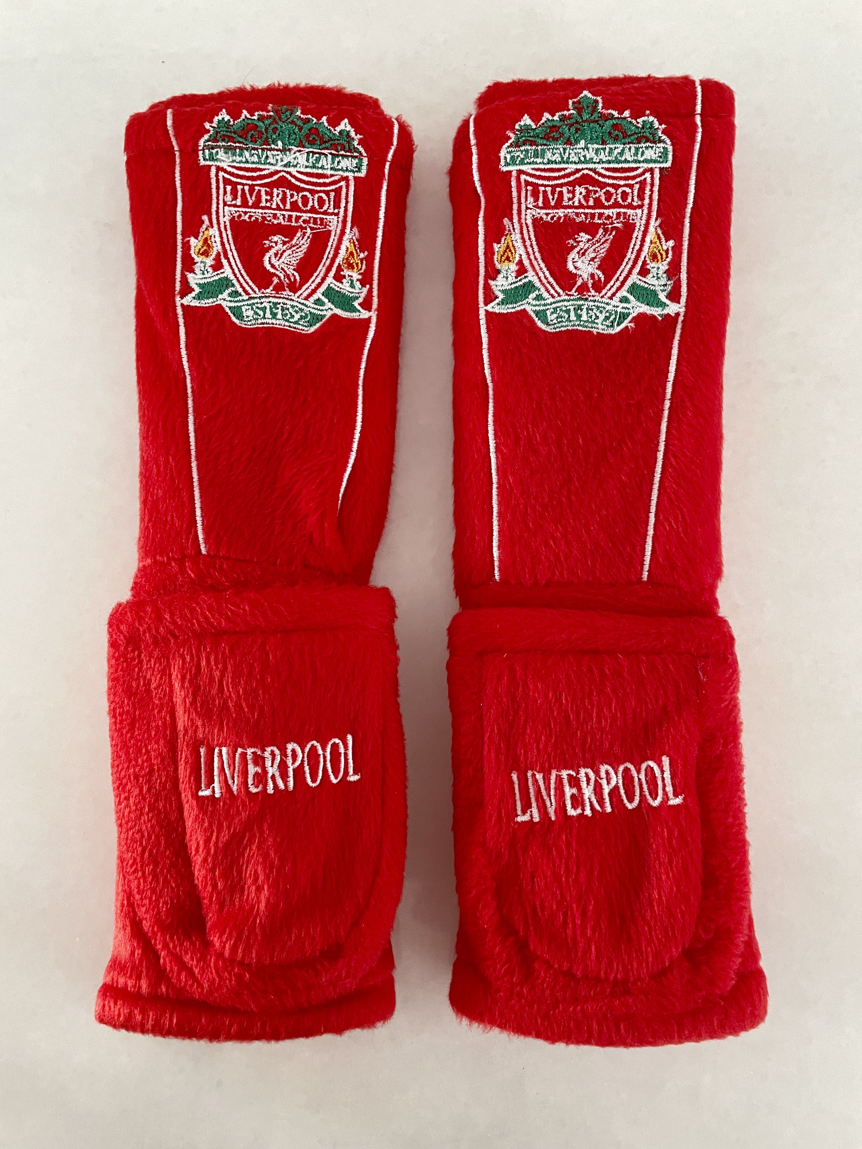 Liverpool Fridge / Car Belt, Furniture & Home Living, Home Decor, Other ...