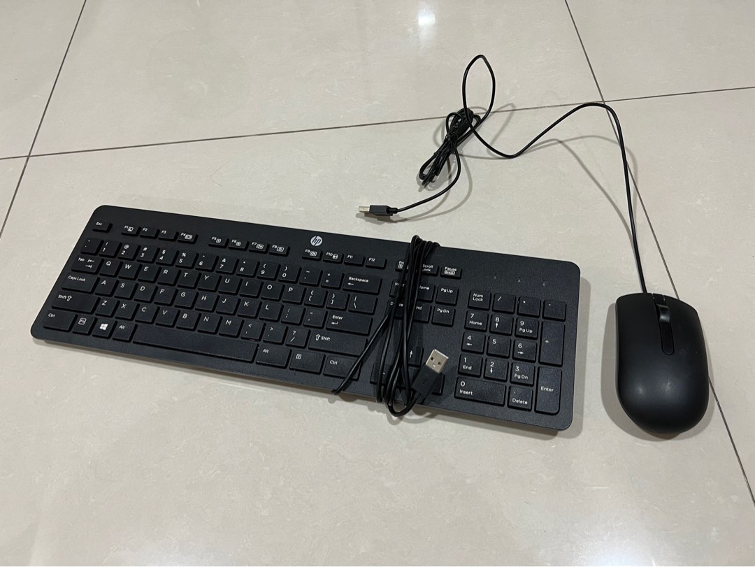 HP keyboard and Dell mouse, Computers & Tech, Parts & Accessories ...