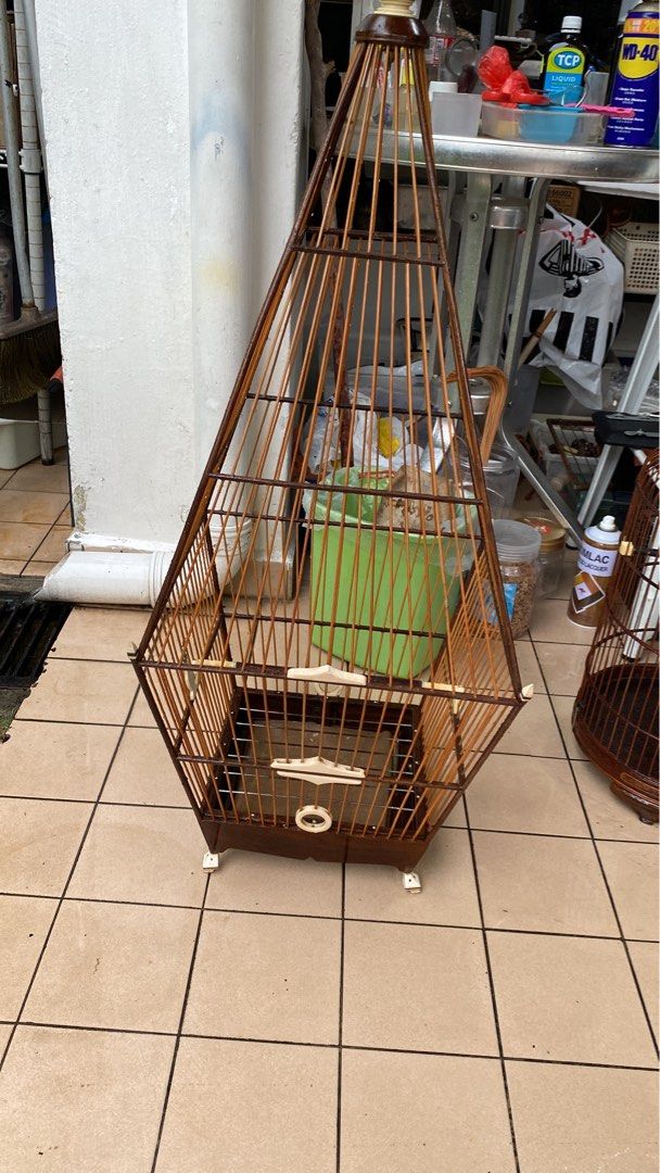 Jambul Cage 17 sticks Blackwood heavy, Pet Supplies, Homes & Other Pet Accessories on Carousell