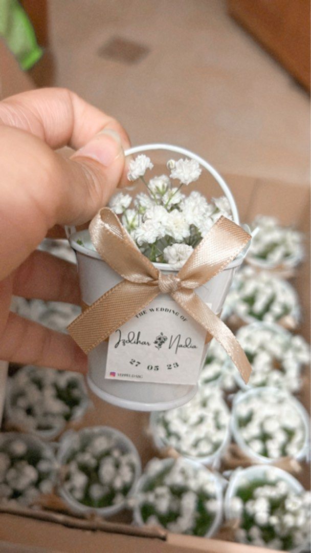 Mini Pots Bunga Rampai, Hobbies & Toys, Stationery & Craft, Flowers ...