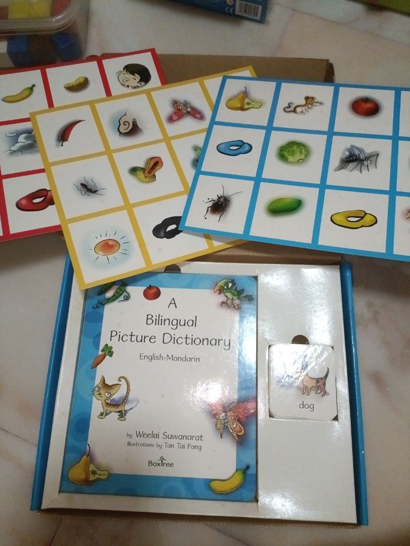 Pick a Match Bilingual Word and Object Recognition Game, Hobbies & Toys ...