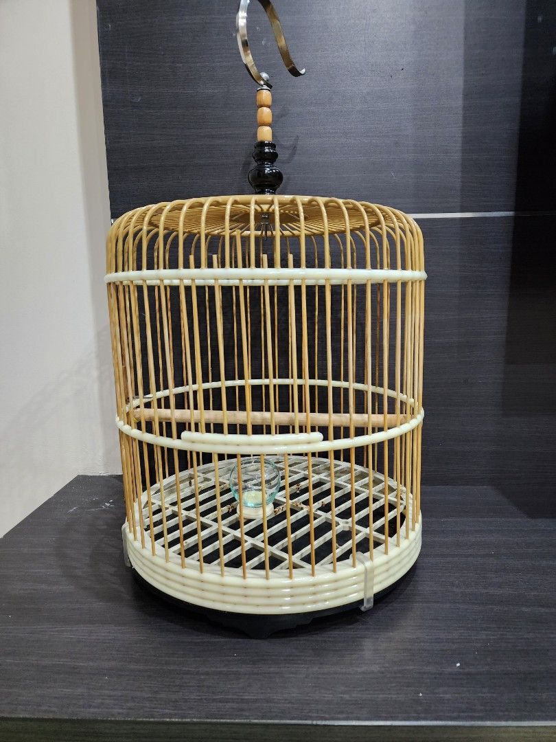 Round Bird Cage, Pet Supplies, Homes & Other Pet Accessories on Carousell