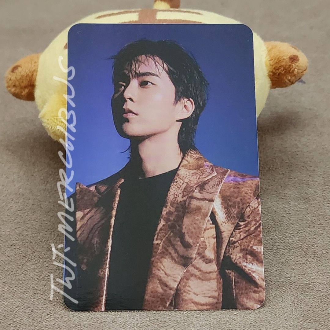 xiumin exo don't fight the feeling album photocard pc official kpop ...