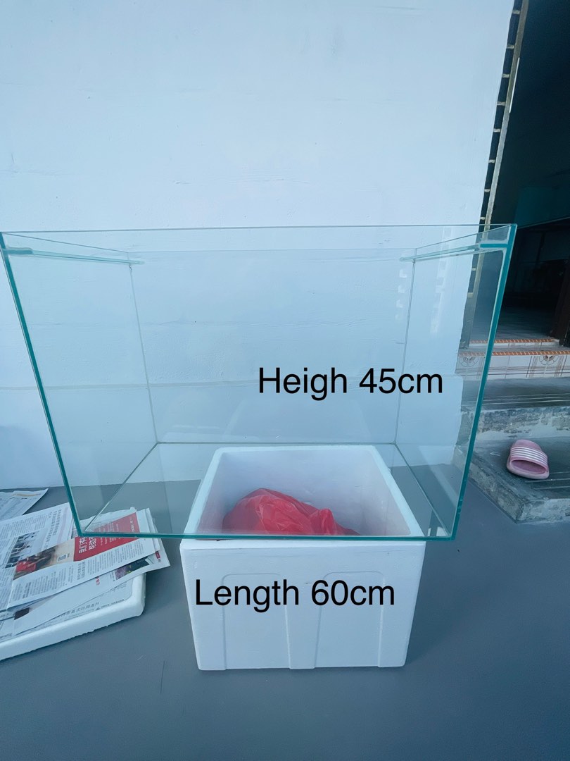 2ft fish tank, Pet Supplies, Homes & Other Pet Accessories on Carousell