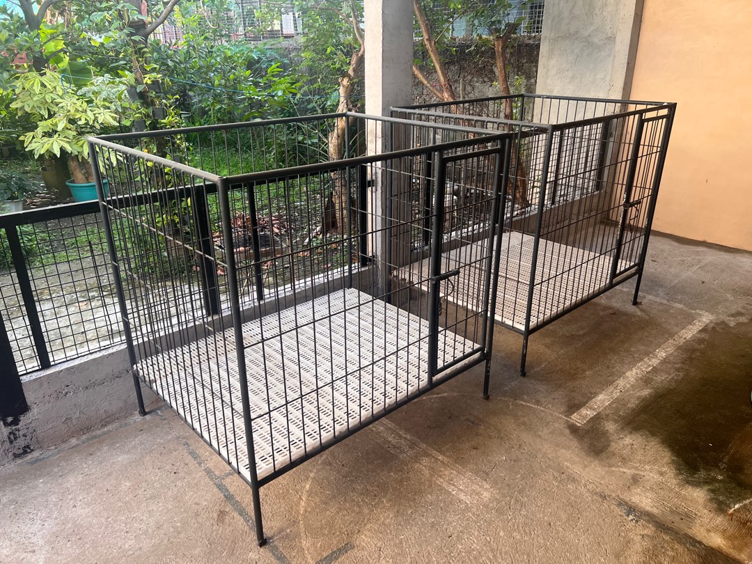 Cage / Kulungan ng Aso on Carousell