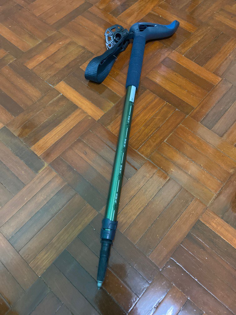 Decathlon Hiking Stick, Sports Equipment, Hiking & Camping on Carousell