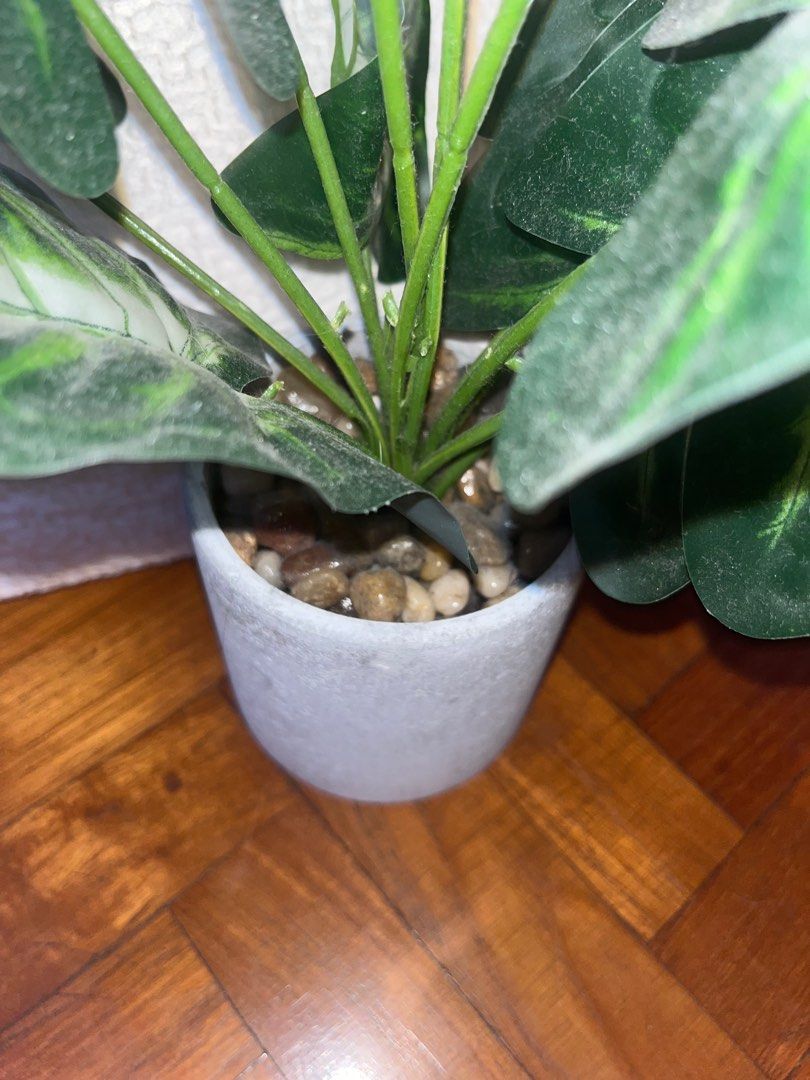 Fake plant, Furniture & Home Living, Home Decor, Artificial Plants ...