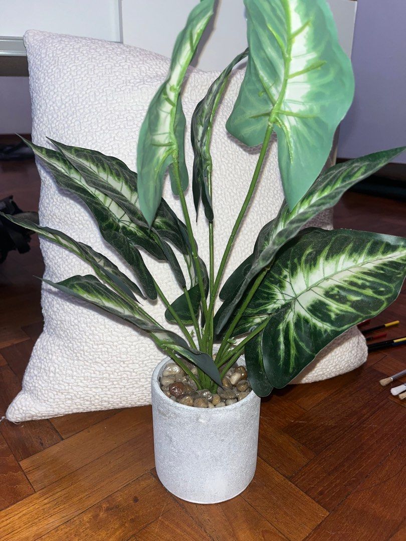 Fake plant, Furniture & Home Living, Home Decor, Artificial Plants ...