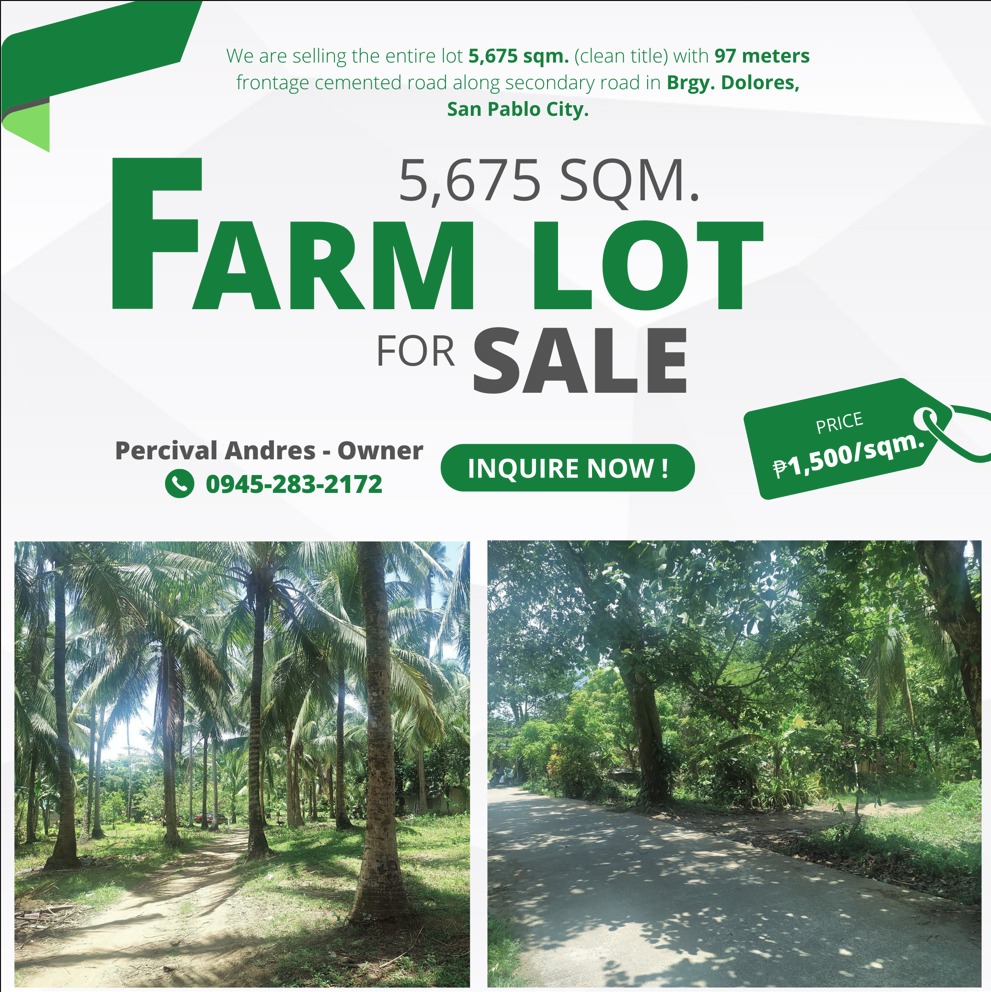 Farm Land For Sale - 5,675 sqm. (Clean Title) - Brgy. Dolores, San ...