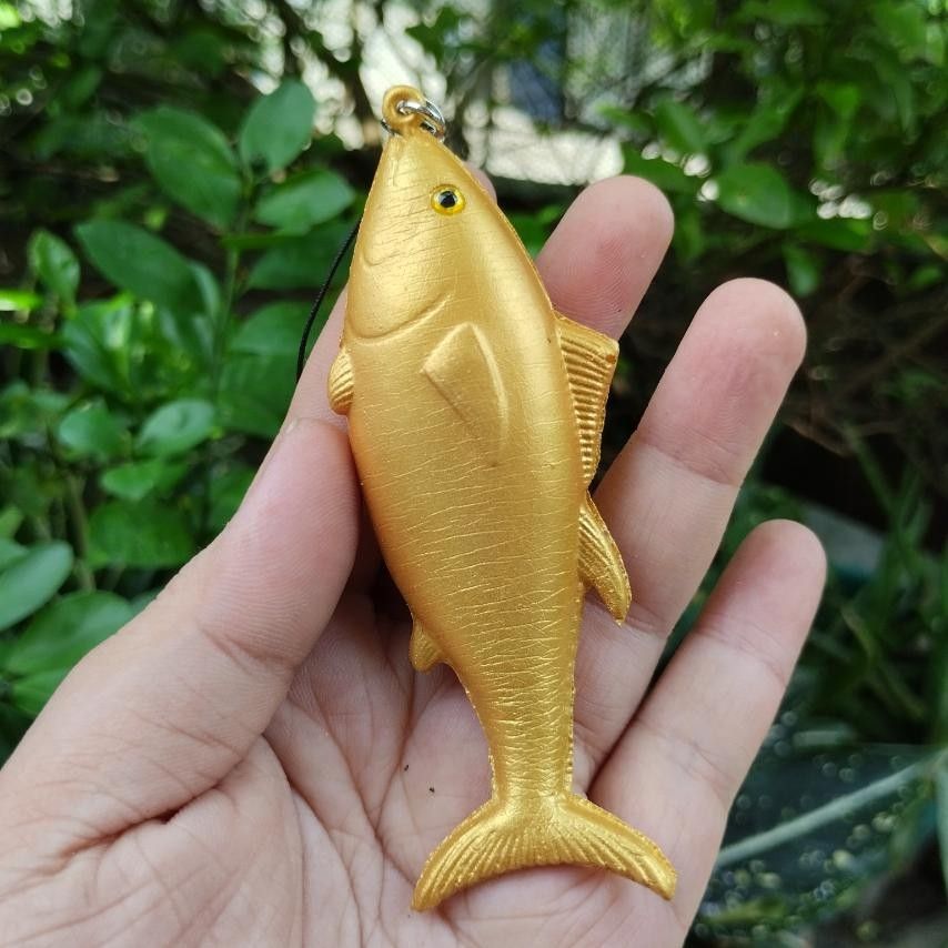 Japanese Golden Fish Squishy, Hobbies & Toys, Toys & Games on Carousell