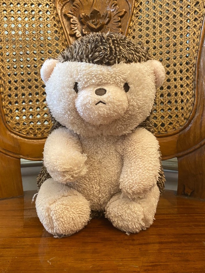 miniso hedgehog 11” plush (etiketa cut off), Hobbies & Toys, Toys ...