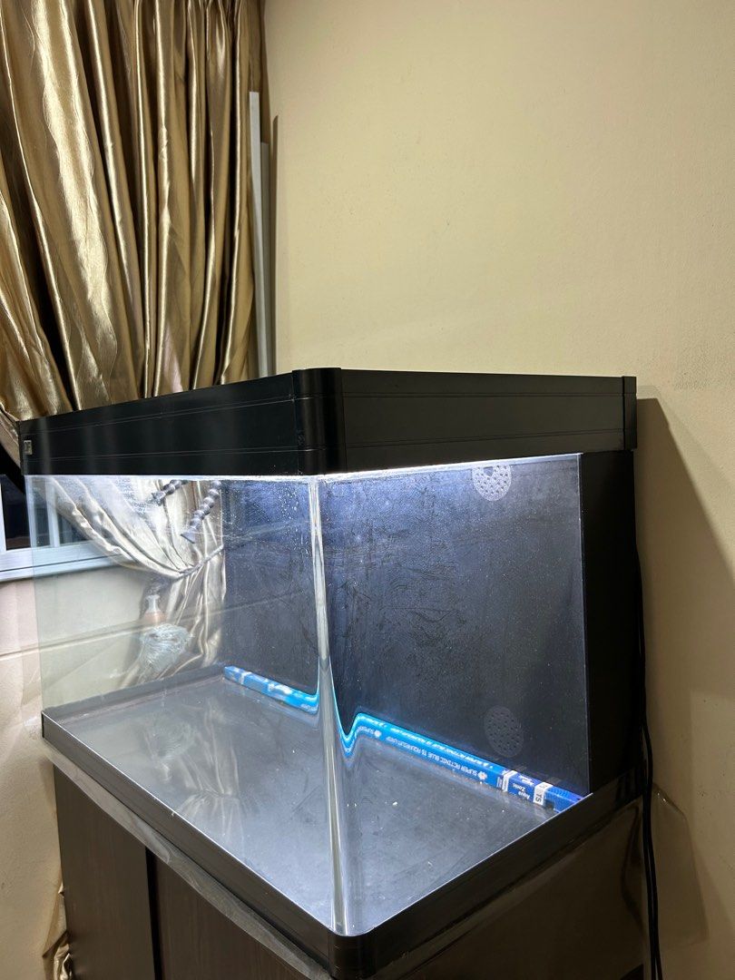 Ocean Free Fish Tank 3ft, Pet Supplies, Homes & Other Pet Accessories ...