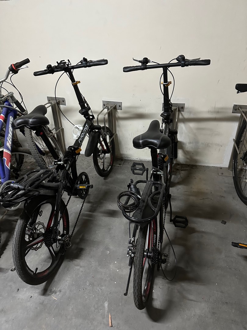 Phoenix bicycle, Sports Equipment, Bicycles & Parts, Bicycles on Carousell