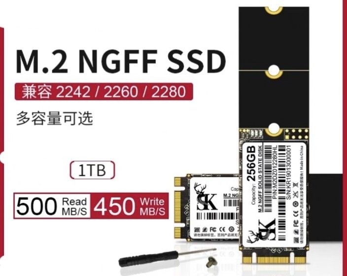 SK-800 M.2 NGFF SSD 1TB 2242, Computers & Tech, Parts & Accessories ...