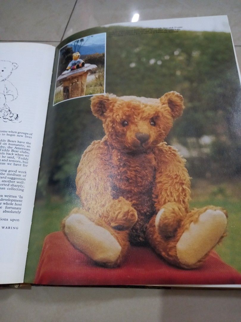 Teddy Bears Book, Hobbies & Toys, Books & Magazines, Children's Books ...