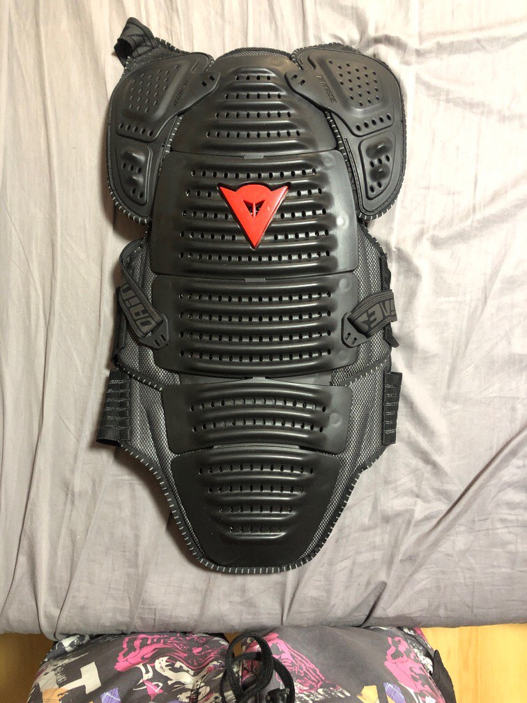 Dainese Wave back protector, Sports Equipment, Other Sports Equipment and Supplies on Carousell