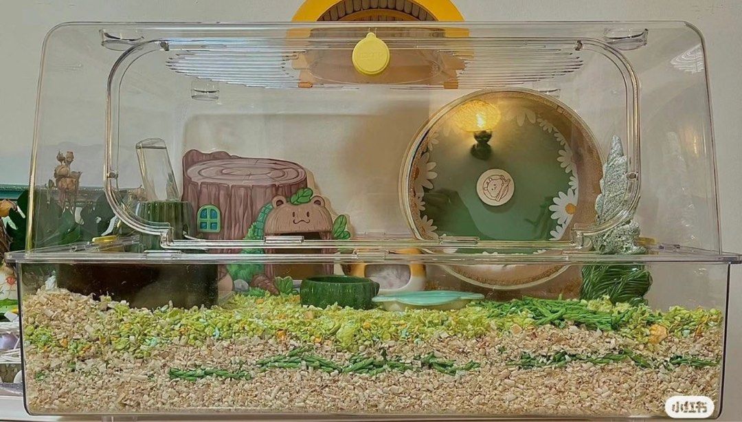 cool hamster setup