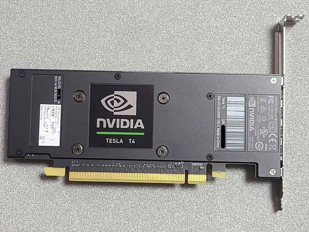 Nvidia Tesla T4 16GB, AI / Professional / Workstation GPU, Computers ...