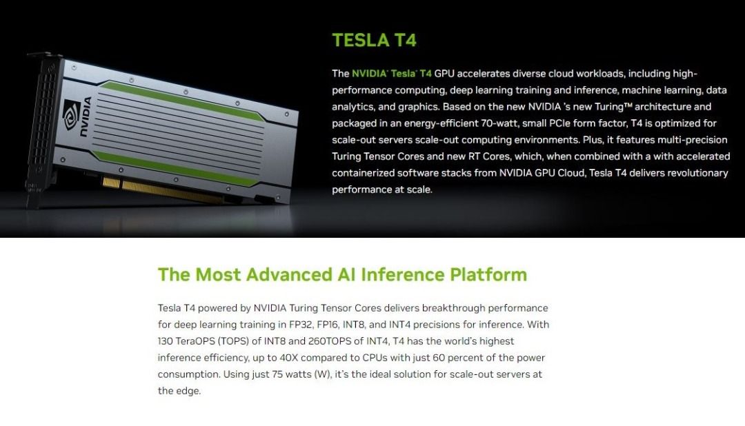 Nvidia Tesla T4 16GB, AI / Professional / Workstation GPU, Computers ...