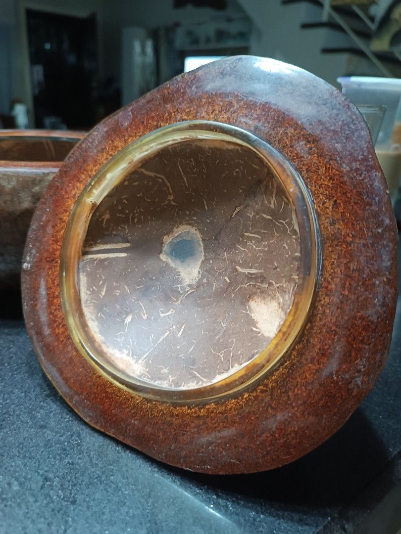 Real Coconut centerpiece, Hobbies & Toys, Stationary & Craft, Craft ...