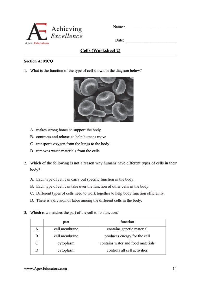 Sec 1 + Sec 2 Science Topical Notes + Worksheets + Exam Questions (Soft ...