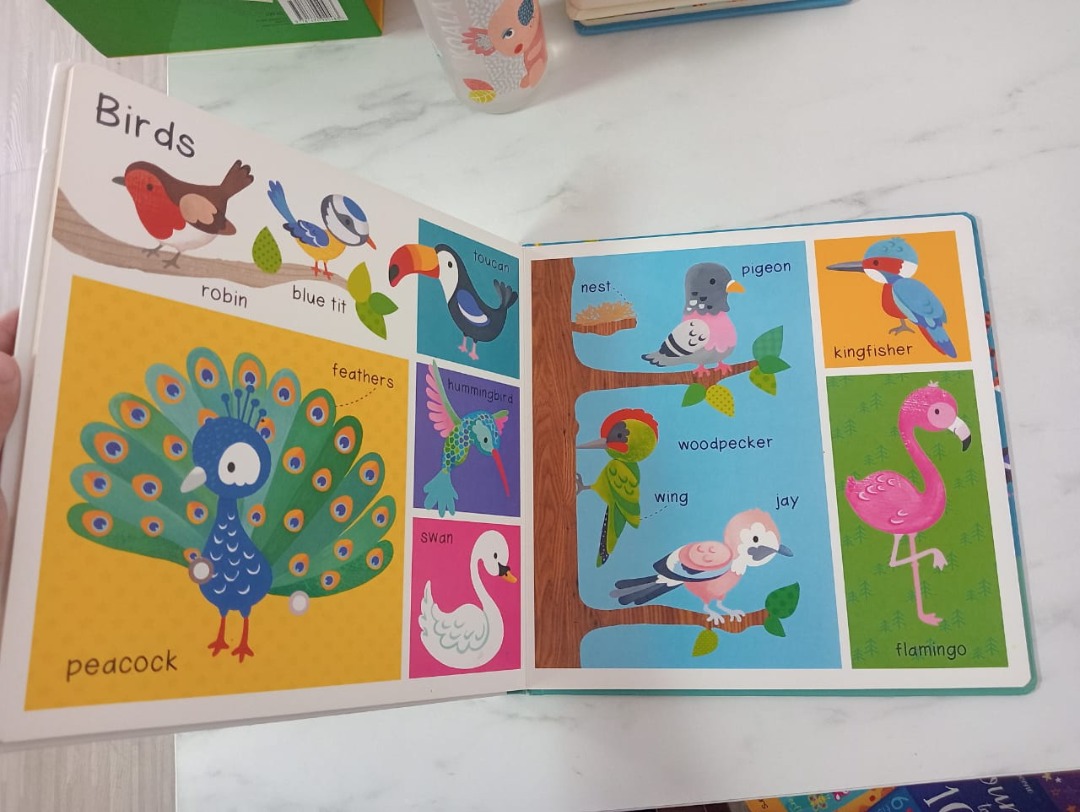 100 Animal Words Kids Book, Hobbies & Toys, Books & Magazines, Children ...