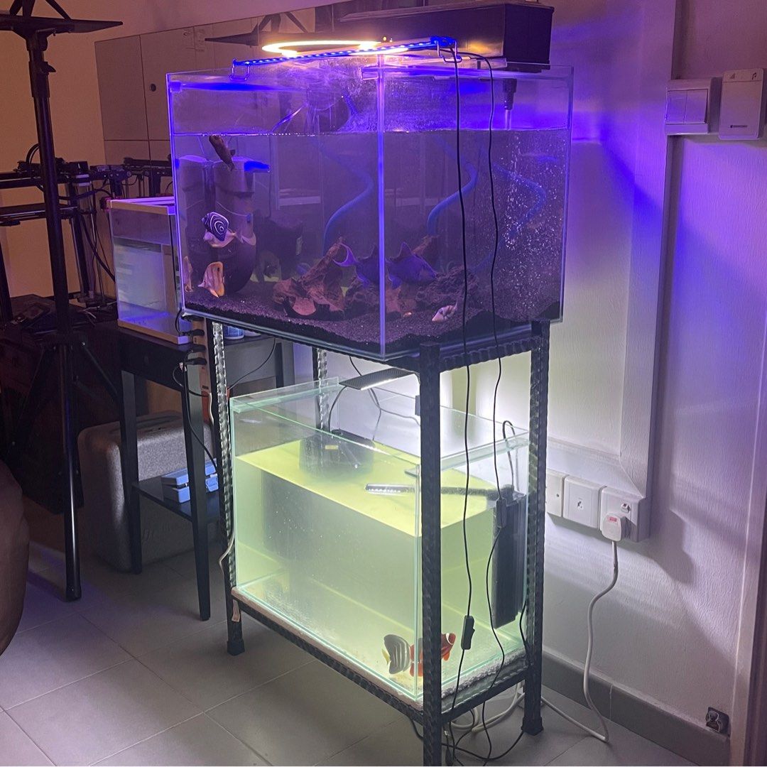 2ft fish tank, Pet Supplies, Homes & Other Pet Accessories on Carousell